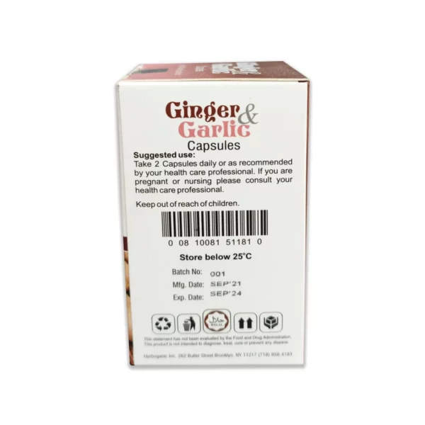 Ginger & Garlic Capsules – 60 Pack - Herbal Suppliments